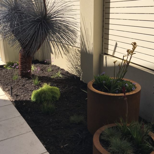 Garden Maintenance Perth | Garden Maintenance Services Near Me, Rose ...