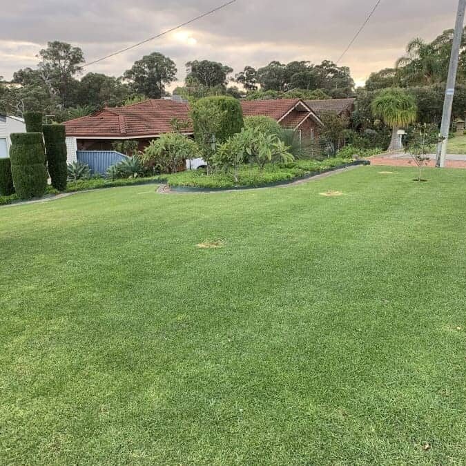 Lawn Care Perth | Weed, Pest & Disease Control, Lawn Care Near Me ...
